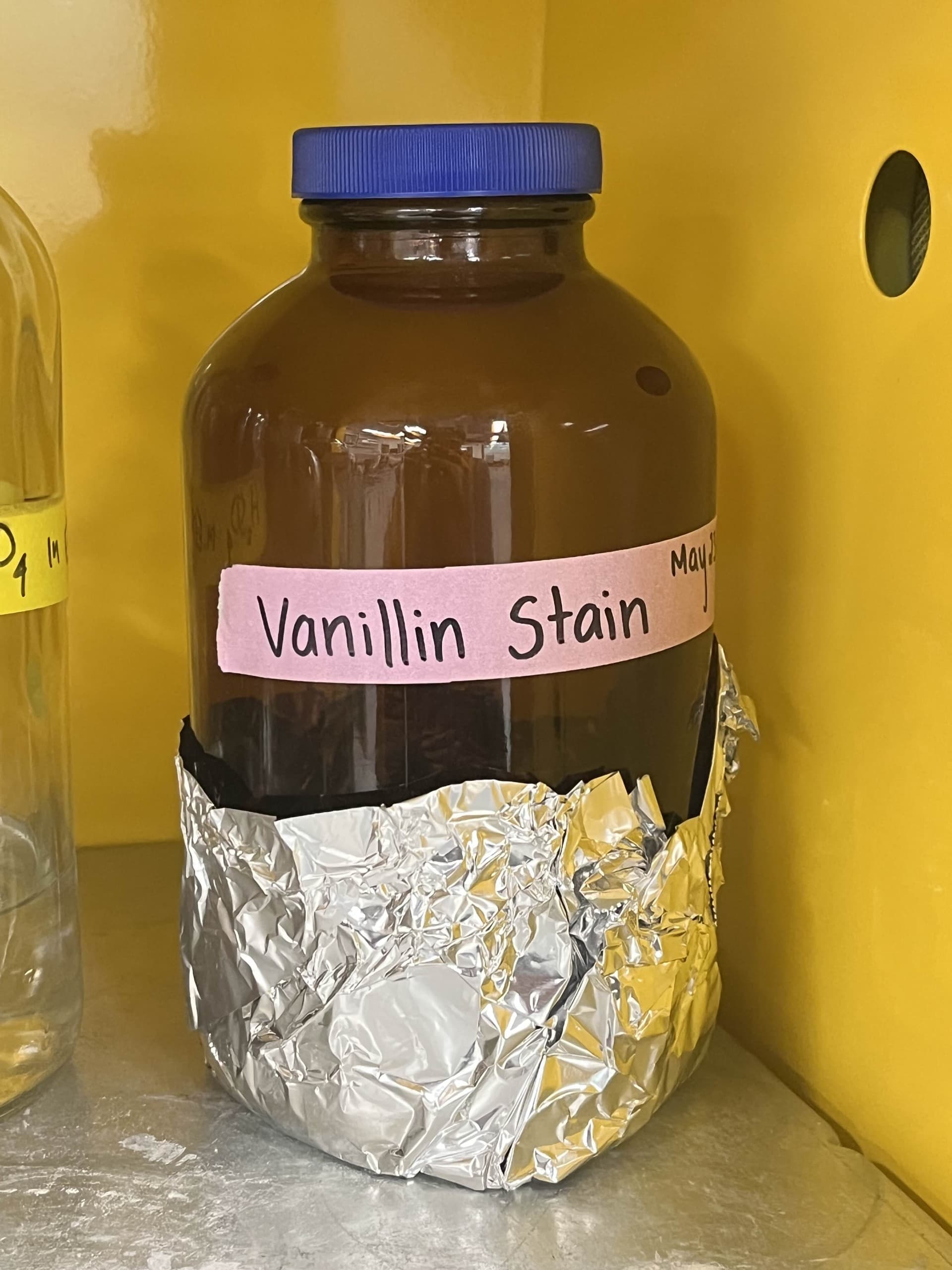 A Visual Guide to Making Vanillin Stain